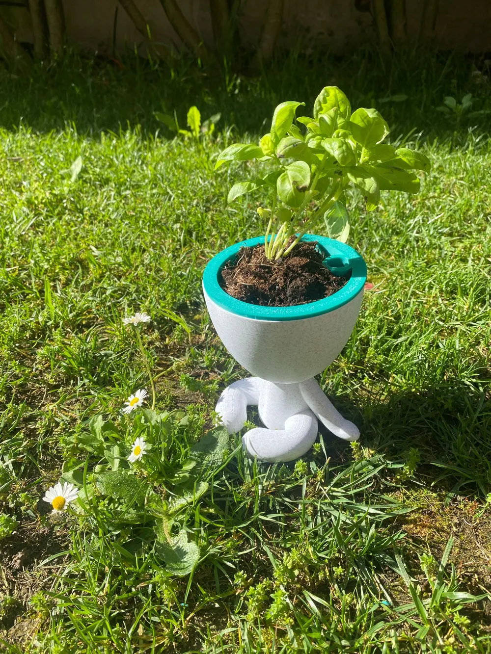 Self-watering Planter Buddy Relaxed by LorenzCRMakerWorld: Download ...