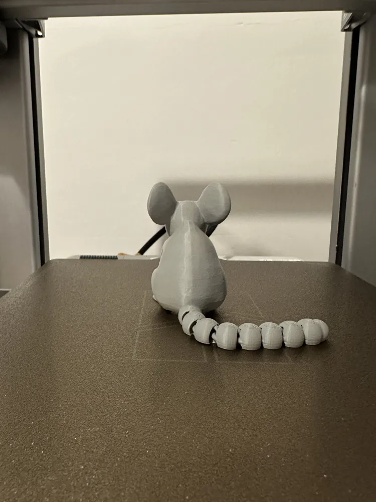 Mouse articulated Tail by 3D FunMakerWorld: Download Free 3D Models