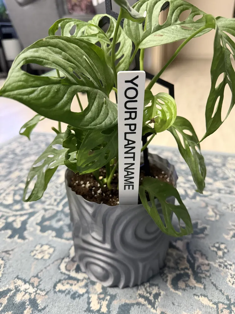 Custom Plant Sign – Editable Text Planter Decor - Free 3D Print Model ...