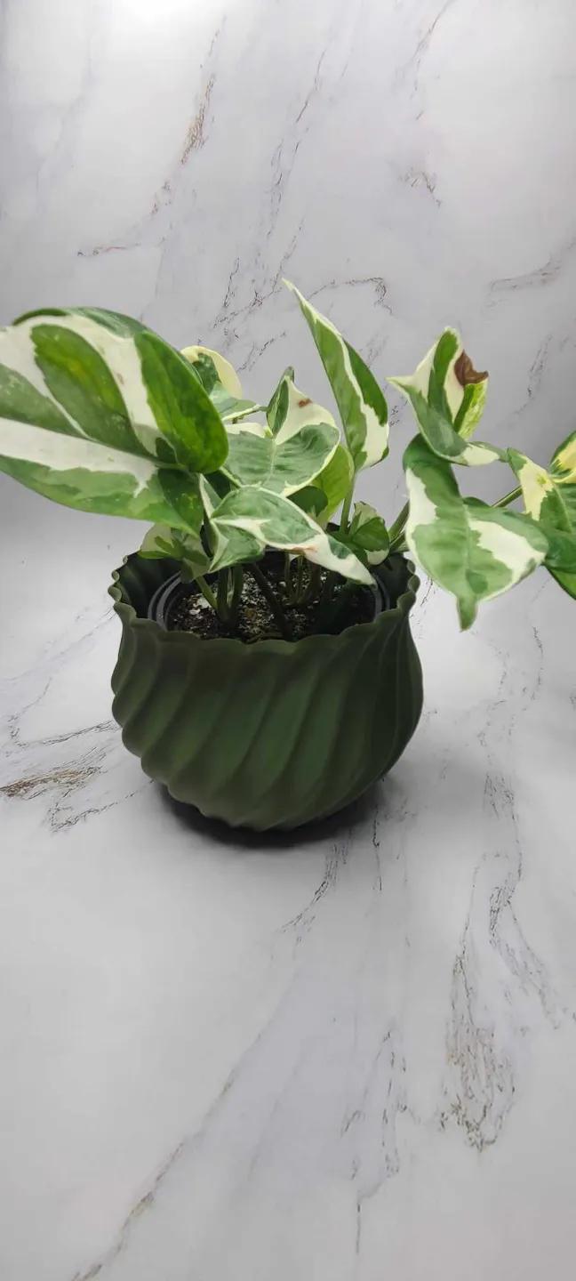 Bloom Haven Vase by KenPrint3D - MakerWorld