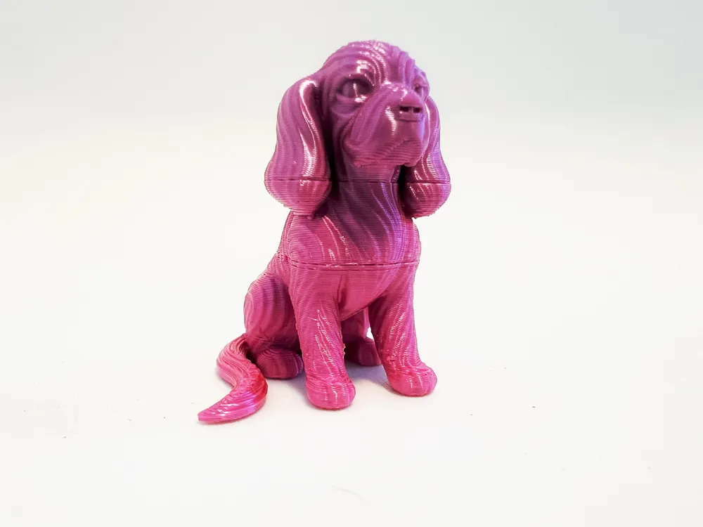 Mid-Sized Dog Collection (9 Breeds) Elegant Art Modern Decor by ASTAR ...
