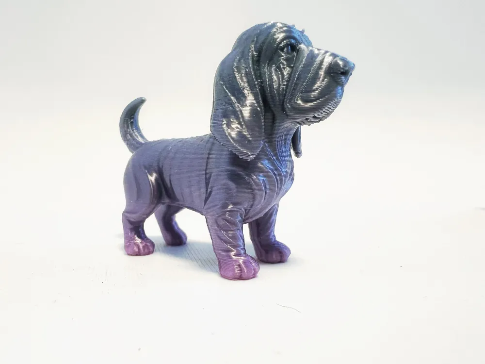 Mid-Sized Dog Collection (9 Breeds) Elegant Art Modern Decor by ASTAR ...