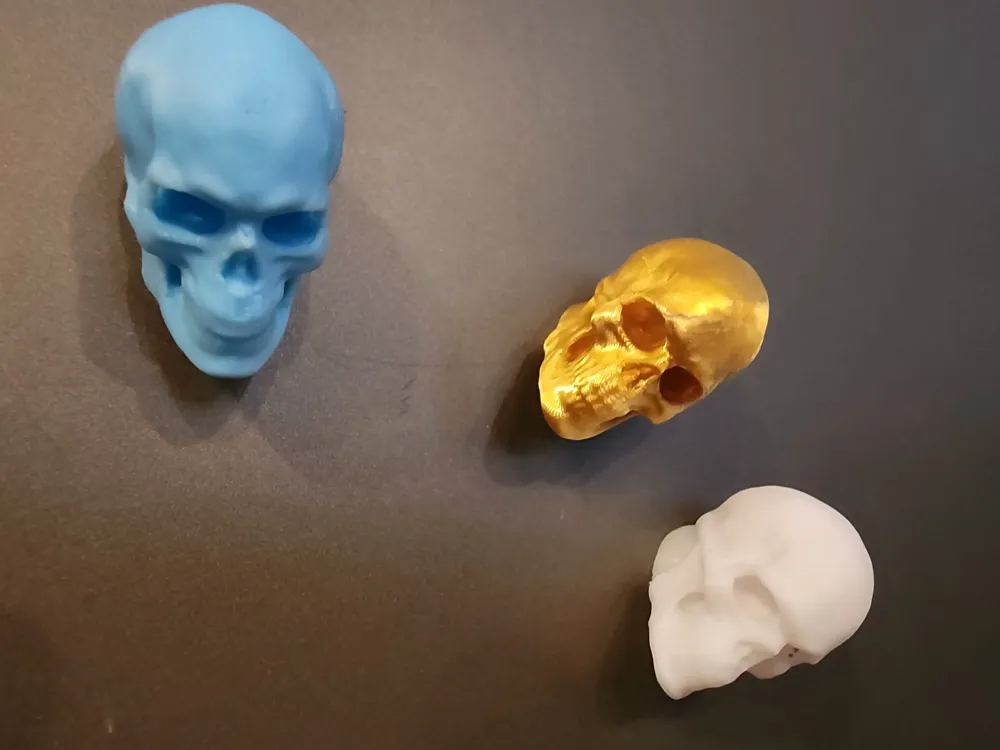 Skull Fridge Magnet by Phalanx - MakerWorld