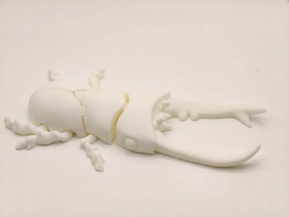 Besouro, besouro-rinoceronte, Besouro de Élitros Vermelhos e Corpo Fino ...