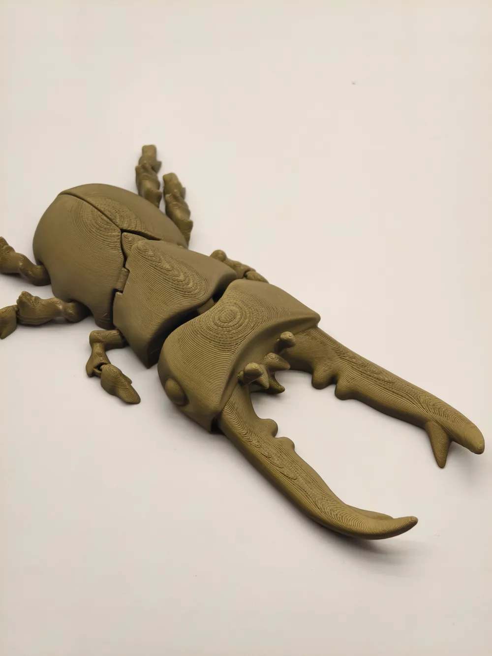 Besouro, besouro-rinoceronte, Besouro de Élitros Vermelhos e Corpo Fino ...