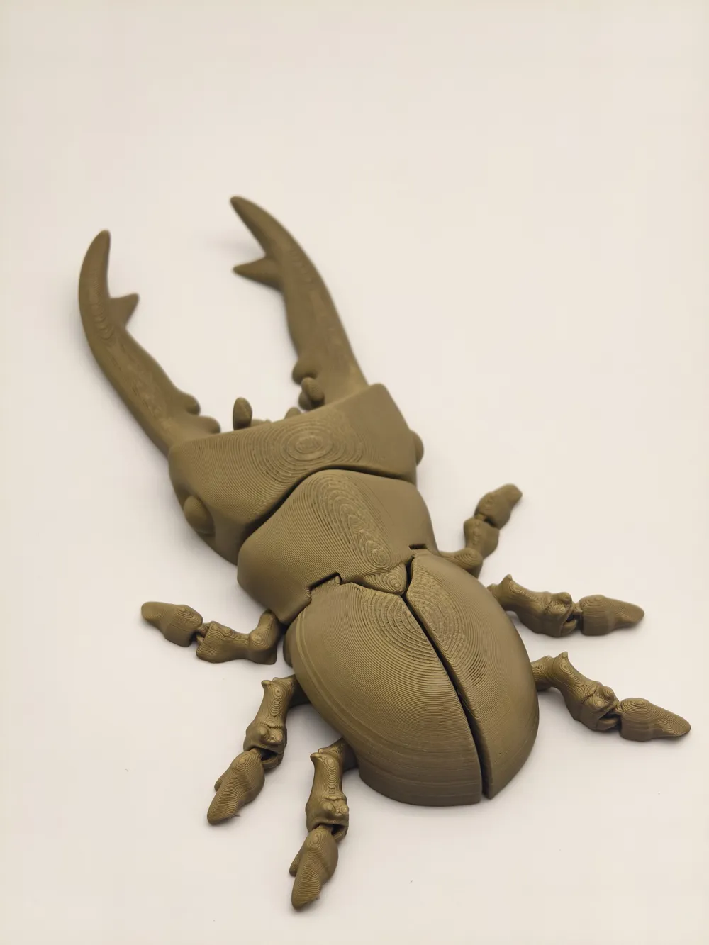 Besouro, besouro-rinoceronte, Besouro de Élitros Vermelhos e Corpo Fino ...