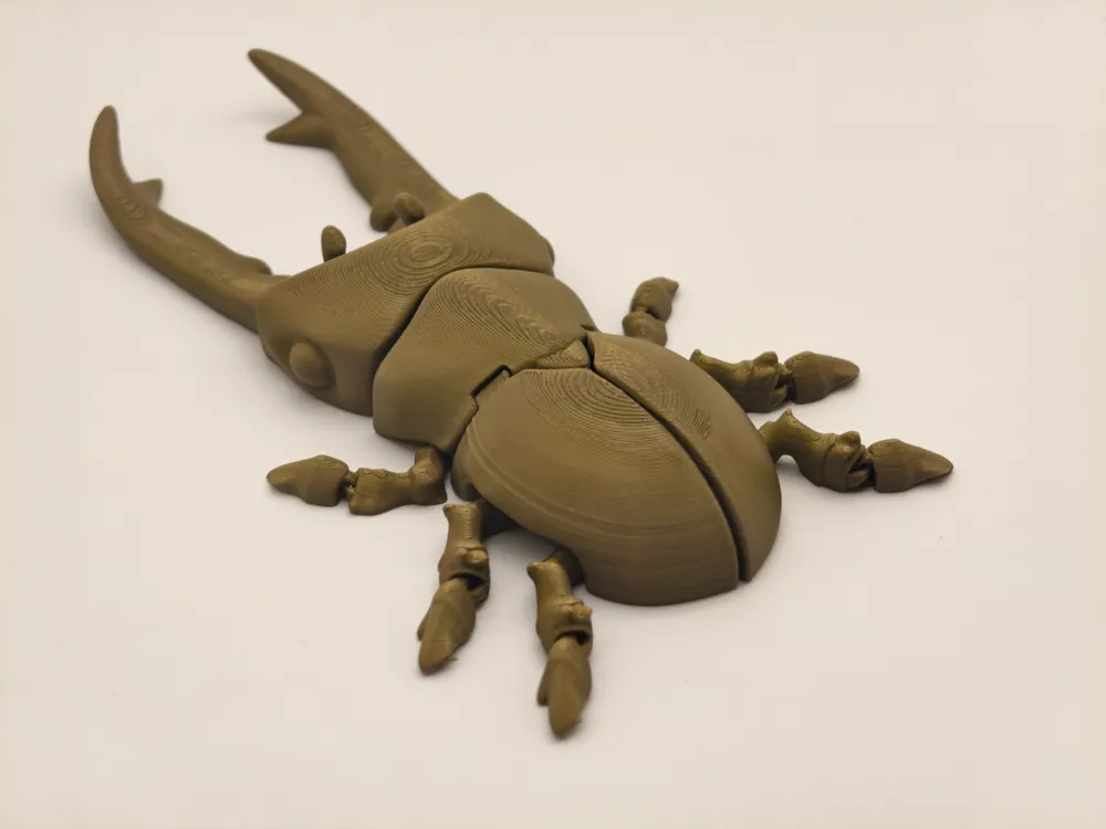 Besouro, besouro-rinoceronte, Besouro de Élitros Vermelhos e Corpo Fino ...