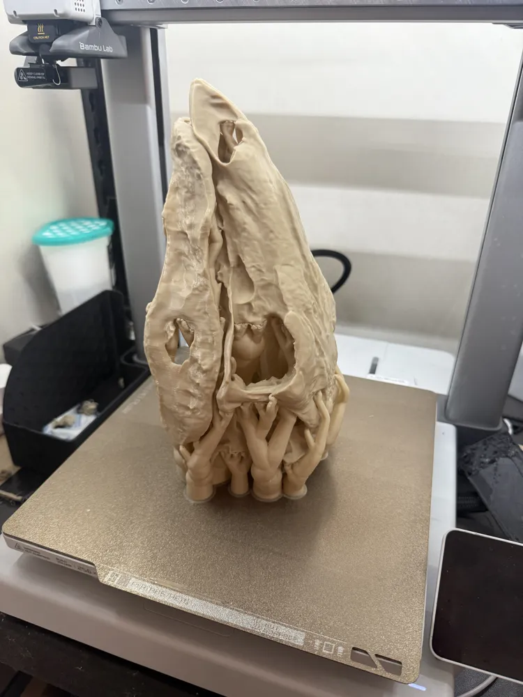 Stegosaurus Skull Fossil Replica (Shell-Style) - Free 3D Print Model ...