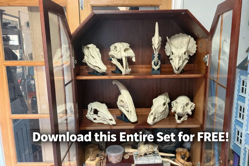 Stegosaurus Skull Fossil Replica (Shell-Style) - Free 3D Print Model ...