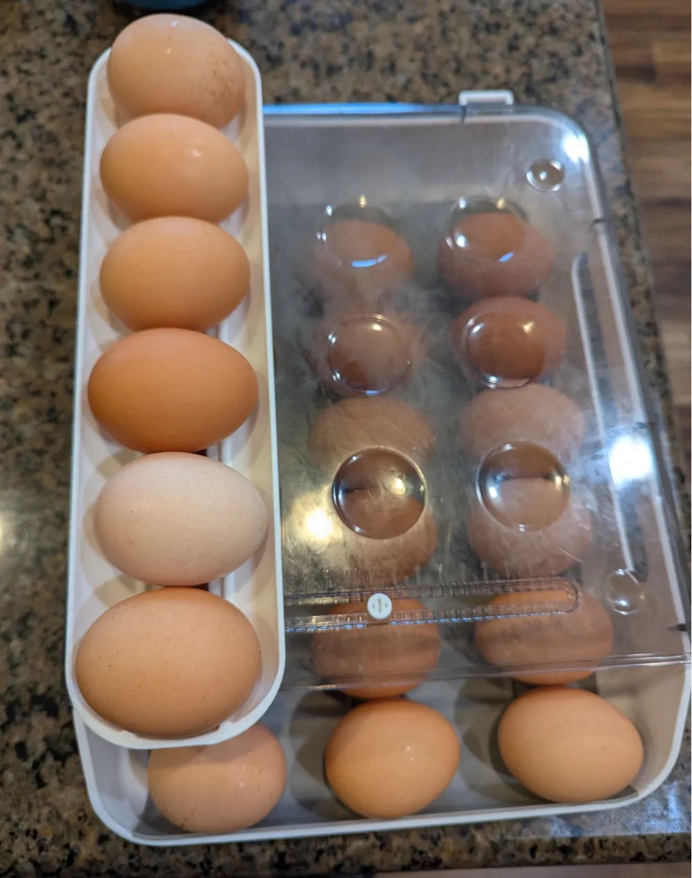 Egg Shelf by AlwaysFun - MakerWorld