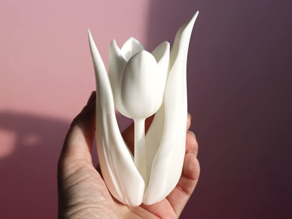 Tulip - Free 3D Print Model - MakerWorld