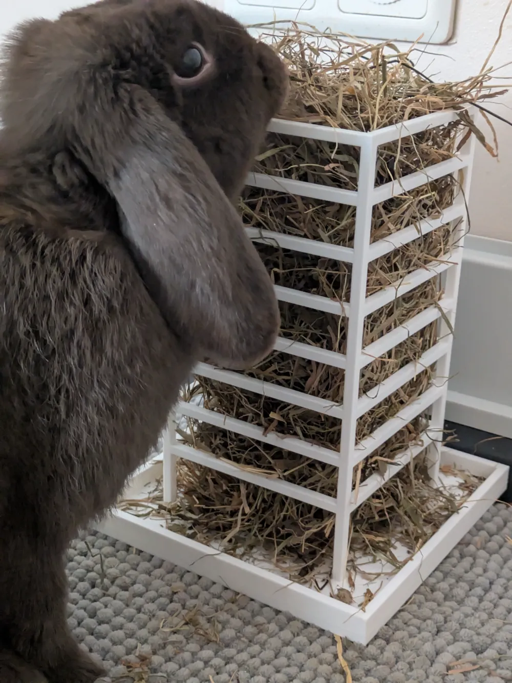 Rabbit Hay Feeder Tower by Blender - MakerWorld