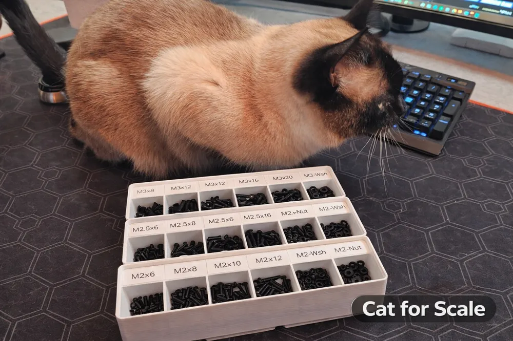 Gridfinity Screw Organizer - Free 3D Print Model - MakerWorld