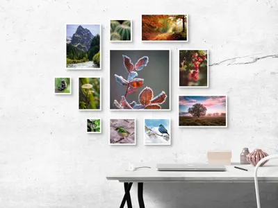 Yoav Kadosh | Home - MakerWorld