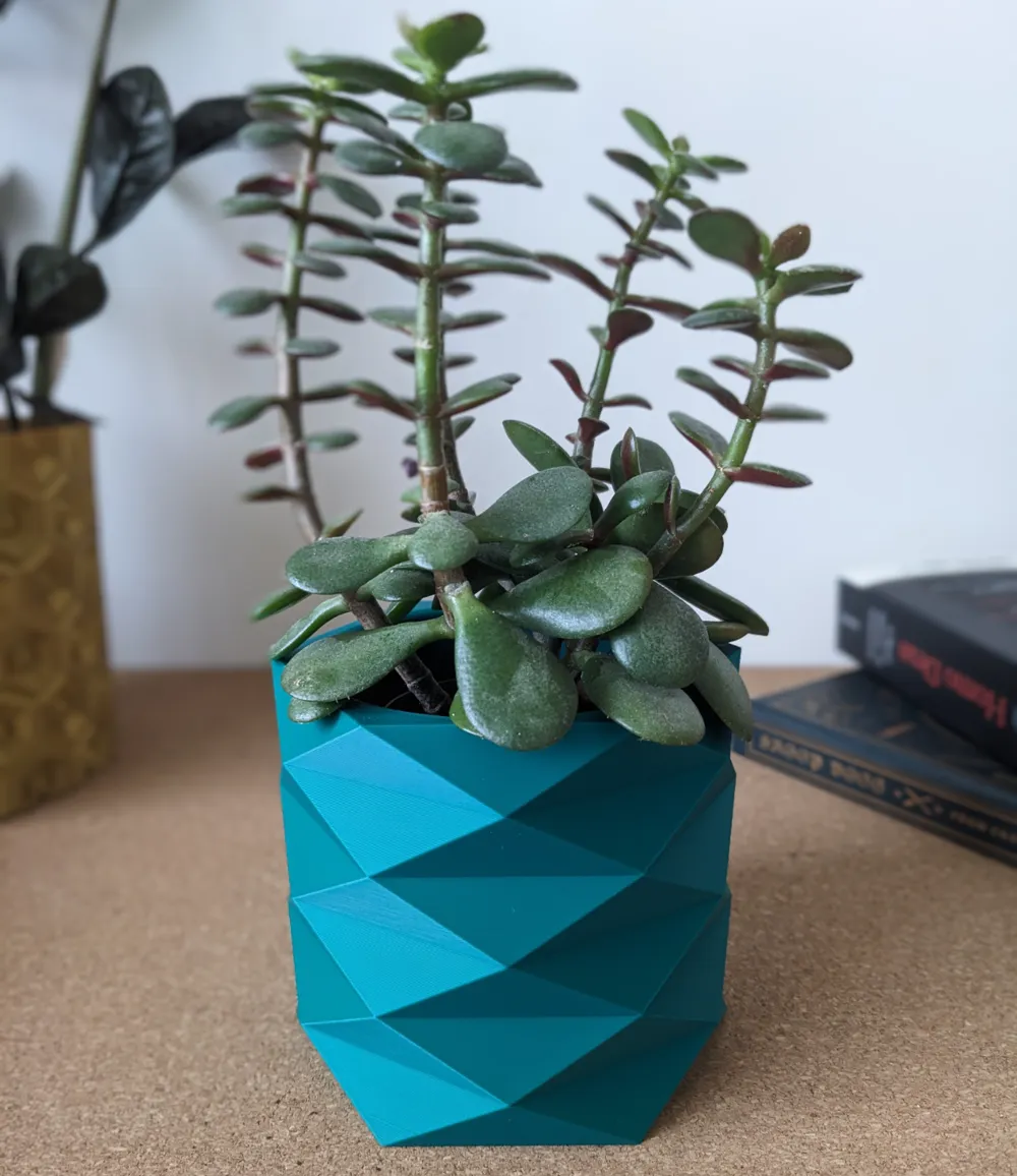 Tall Faceted Geometric Planter by Tycho Design - MakerWorld