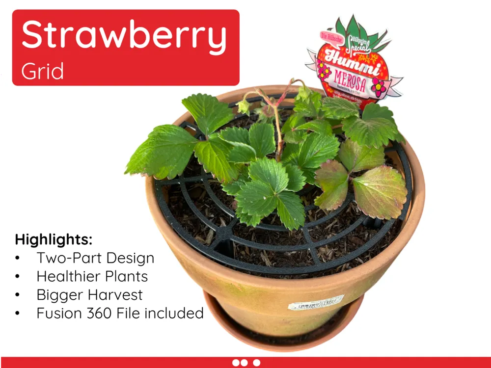 Strawberry Support Grid – Better Growth by TriCreazione (oo o ...