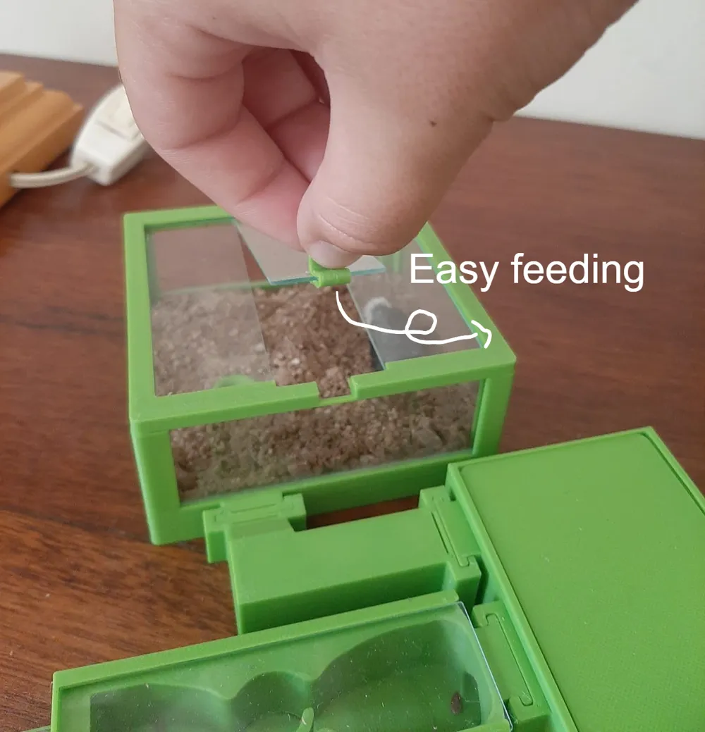 Ant formicarium - Free 3D Print Model - MakerWorld