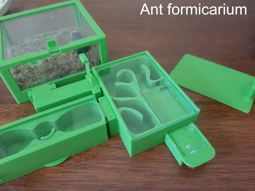 Ant formicarium - Free 3D Print Model - MakerWorld