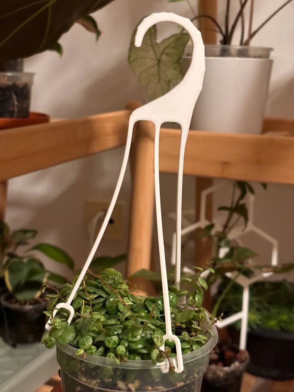 Plant pot hanger by fjosp MakerWorld: Download Free 3D Models