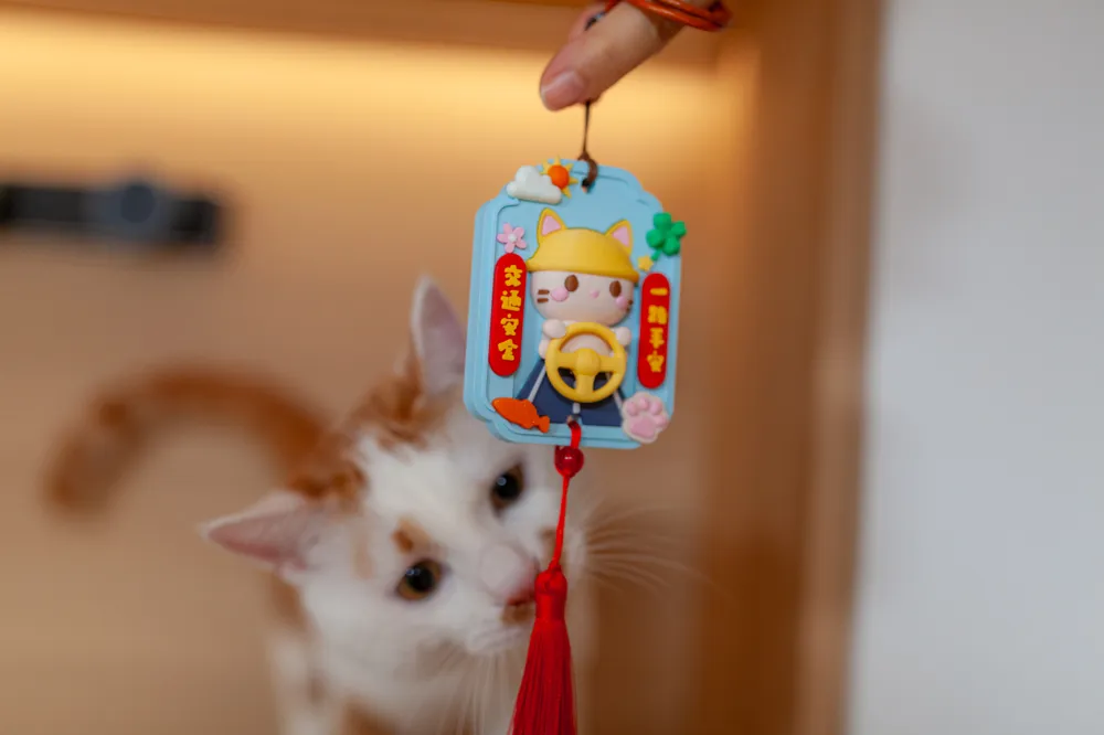 Kitty Travel Safety Charm by Sasha MakerWorld: Download Free 3D Models