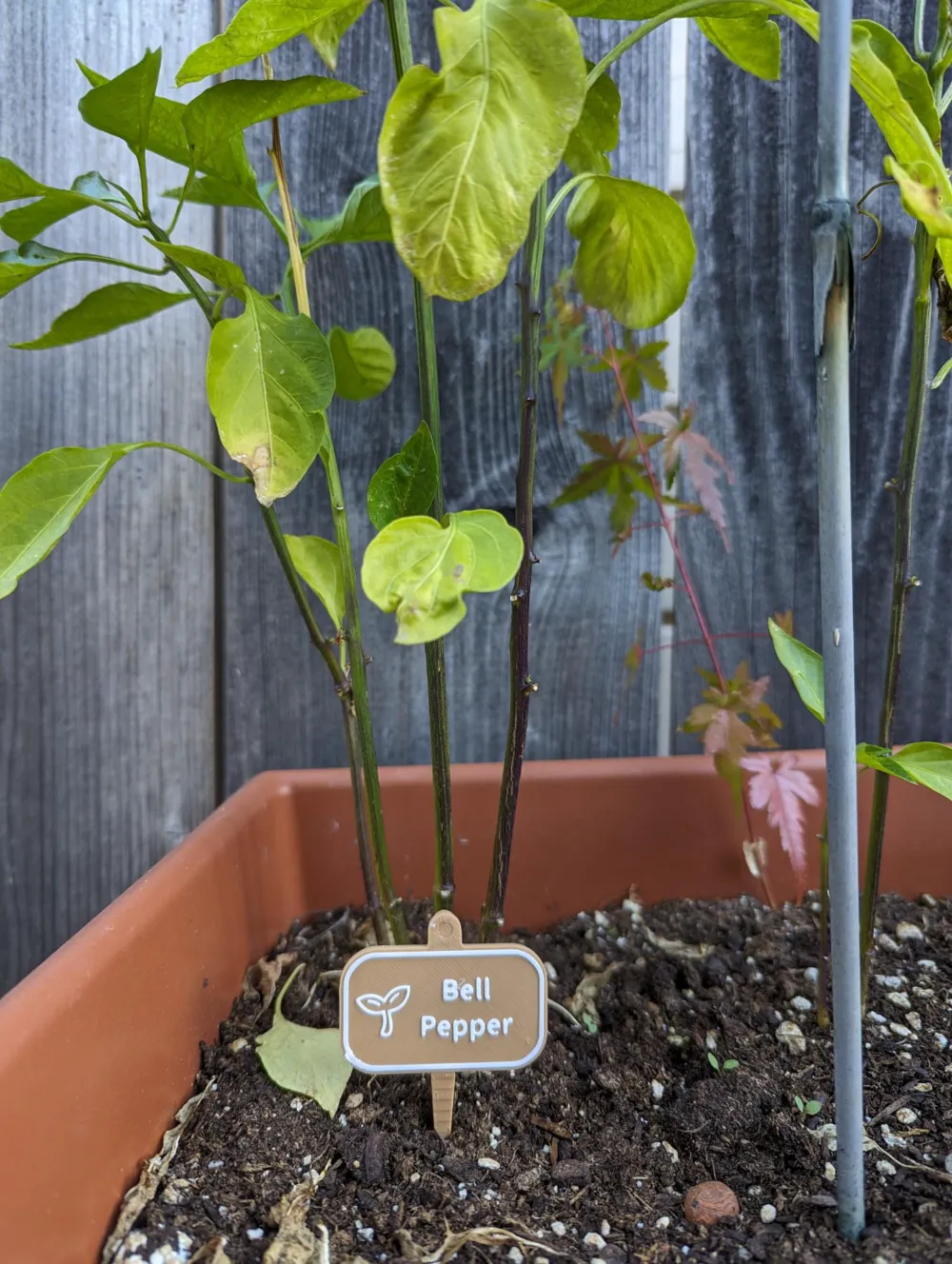 Plant Label Stake with swappable sign by 3Dylan - MakerWorld