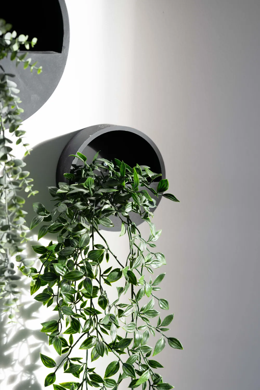 Wall Mounted Plant Pot - Free 3D Print Model - MakerWorld