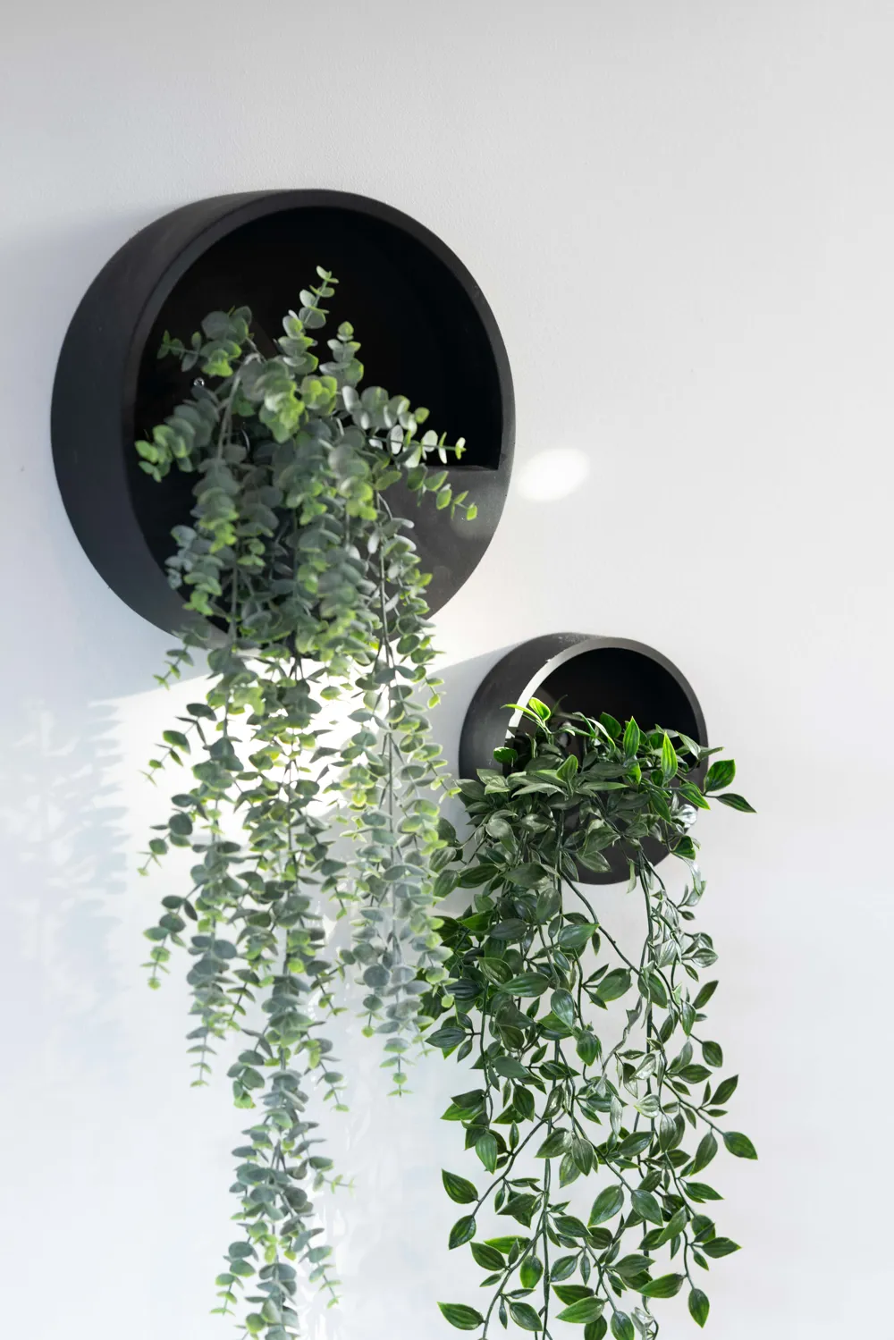 Wall Mounted Plant Pot - Free 3D Print Model - MakerWorld