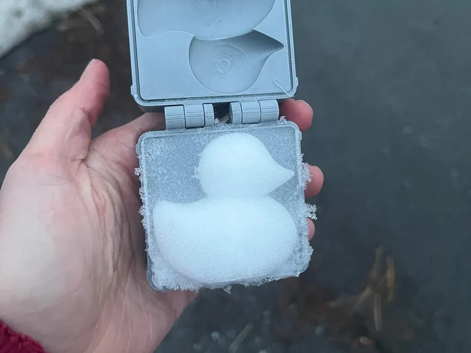 Snow Duck - Free 3D Print Model - MakerWorld