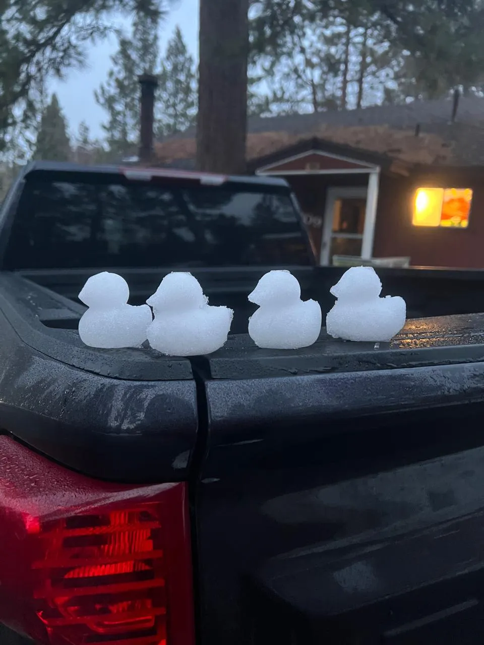Snow Duck - Free 3D Print Model - MakerWorld