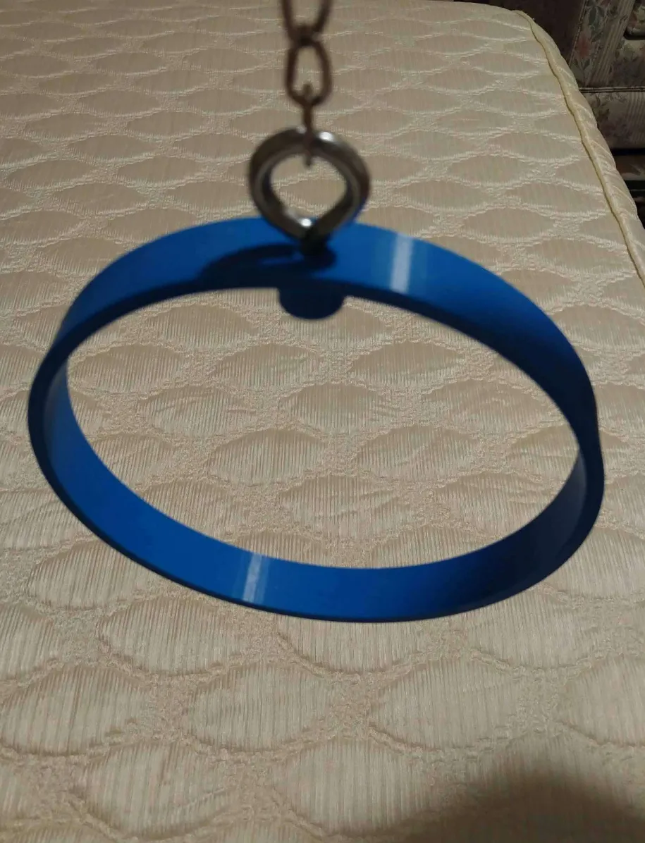 Hoopy Bird, circular swing toy by falconius - MakerWorld