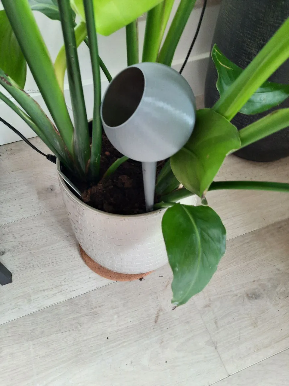 Self-Watering planter - Free 3D Print Model - MakerWorld