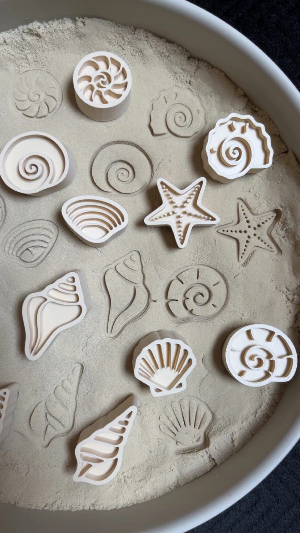 Shell stamps sensory play - Free 3D Print Model - MakerWorld