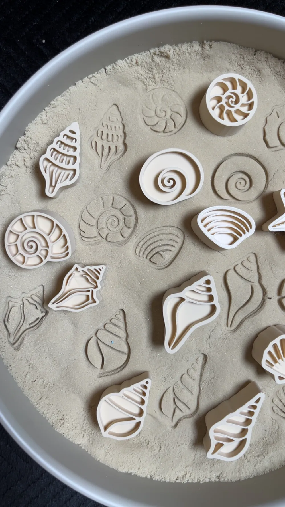 Shell stamps sensory play - Free 3D Print Model - MakerWorld