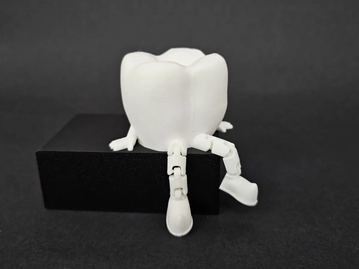 Articulated Tooth (Molar) Flexi Buddy Dentist Gift by Ireality ...