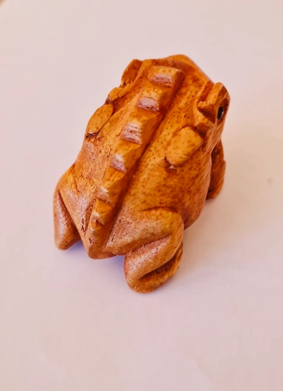 Percussion frog instrument / Frog Guiro by Factory 3D - MakerWorld