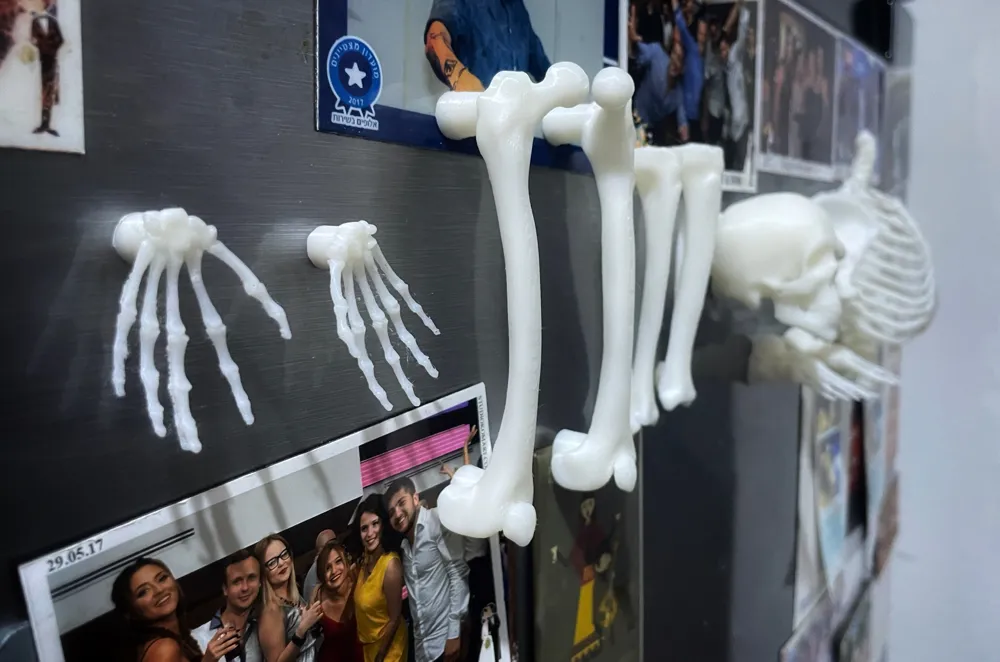 Skeleton [Refrigerator Magnet] - Free 3D Print Model - MakerWorld