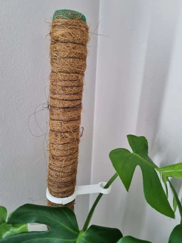 Plant Support 32mm Radius by Emanuele MakerWorld: Download Free 3D Models