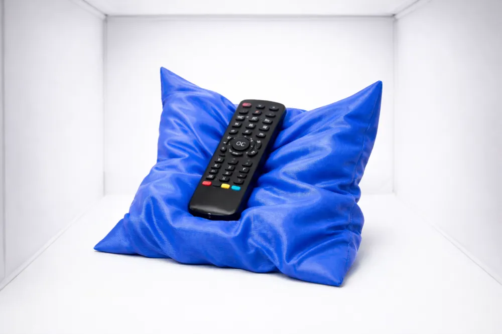 Remote control pillow couch - Free 3D Print Model - MakerWorld