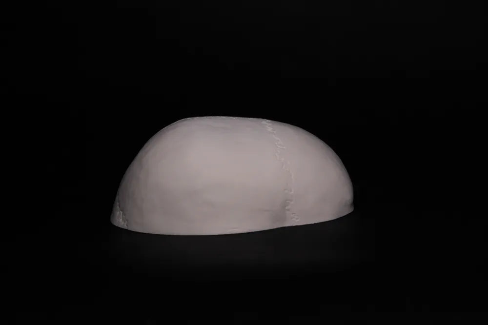 Anatomically correct skull for students - Free 3D Print Model - MakerWorld