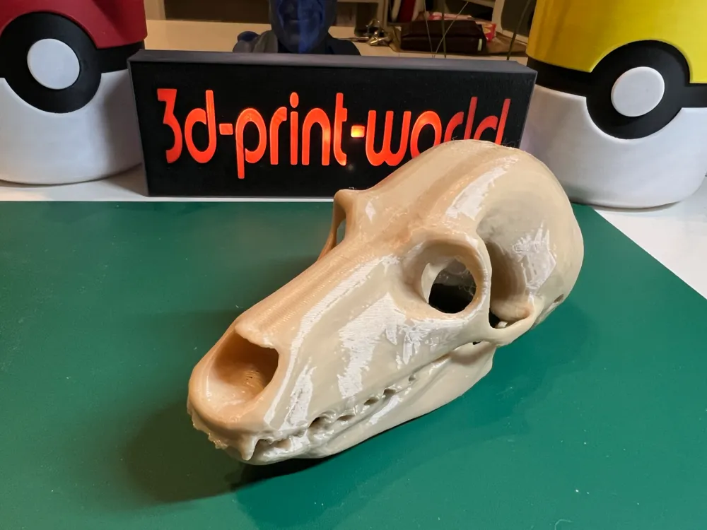 Realistic 3D Model of a Dog Skull by 3D-Print-World MakerWorld ...