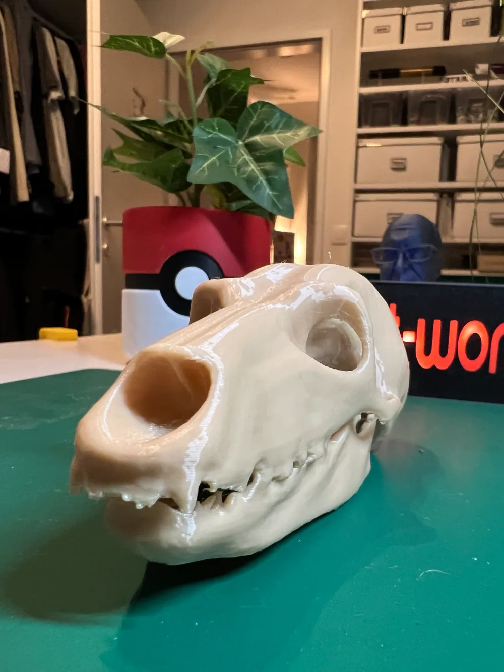 Realistic 3D Model of a Dog Skull by 3D-Print-World MakerWorld ...