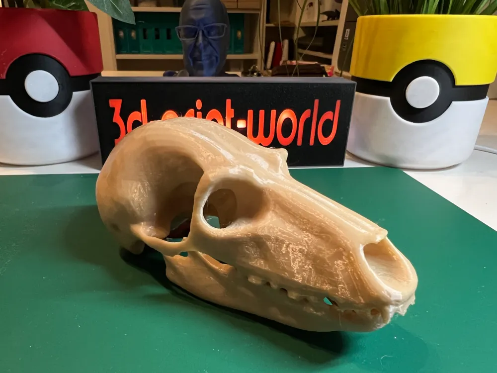 Realistic 3D Model of a Dog Skull by 3D-Print-World MakerWorld ...
