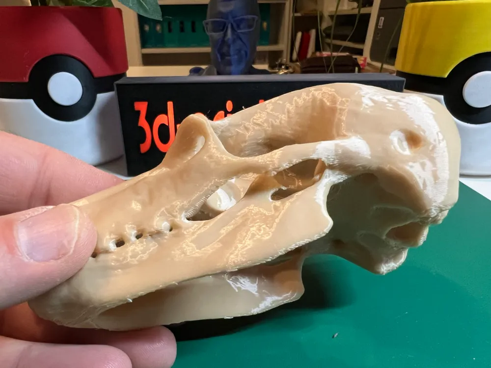Realistic 3D Model of a Dog Skull by 3D-Print-World MakerWorld ...