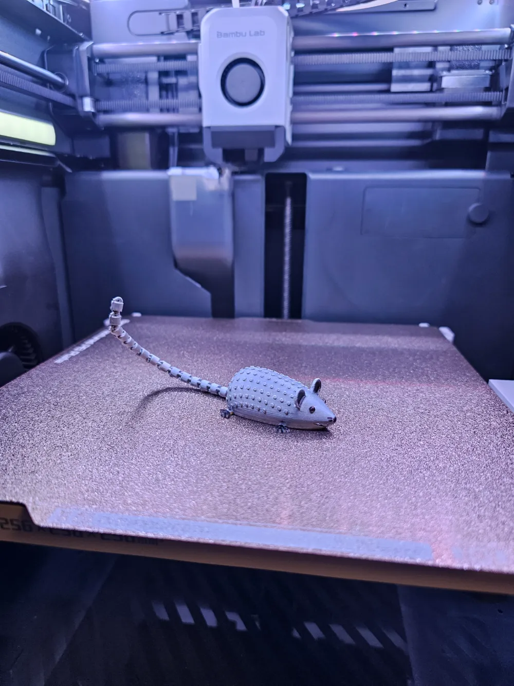 Mouse Toy With Articulated Tail (print in place) by SimonMakerForge ...