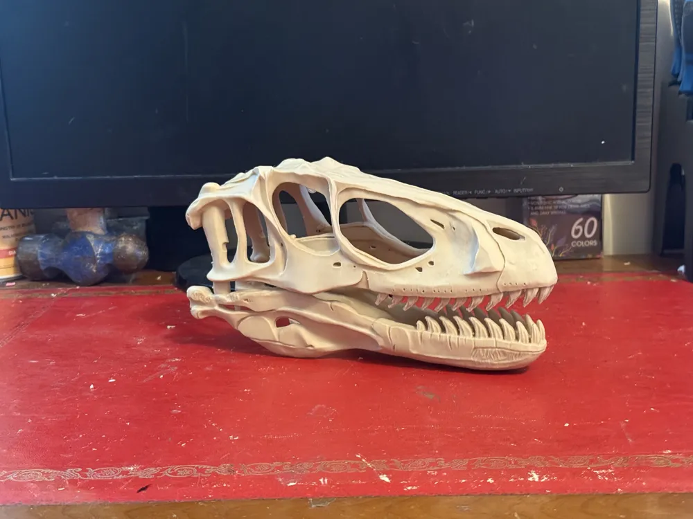 Deinonychus Skull – Life-Size “Velociraptor” - Free 3D Print Model ...