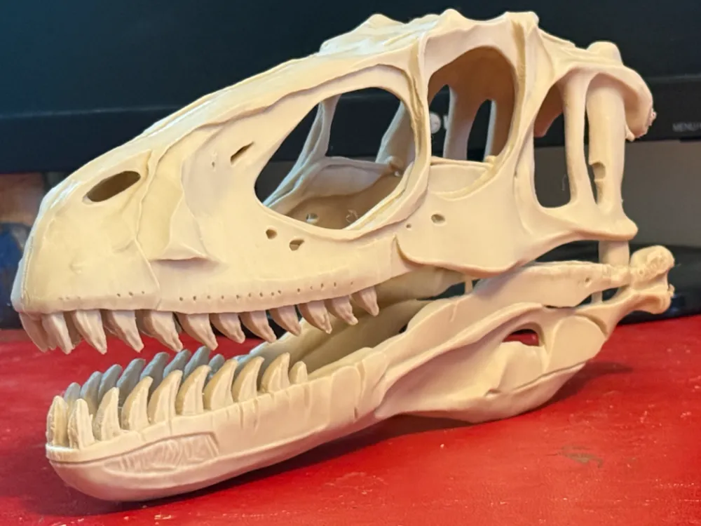 Deinonychus Skull – Life-Size “Velociraptor” - Free 3D Print Model ...