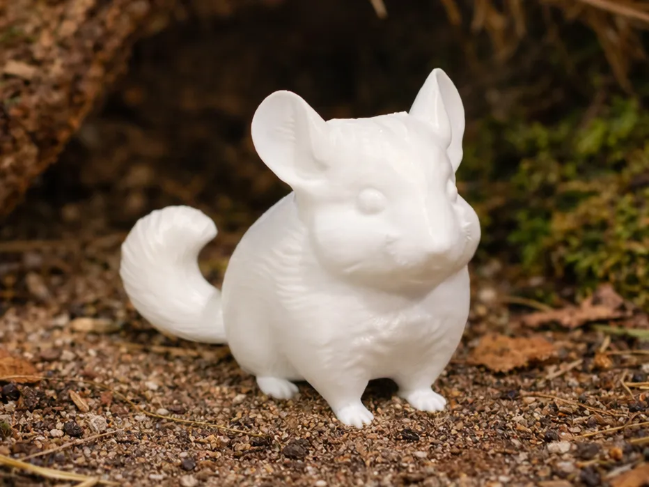 Chinchilla - Animal - Cute - Free 3D Print Model - MakerWorld