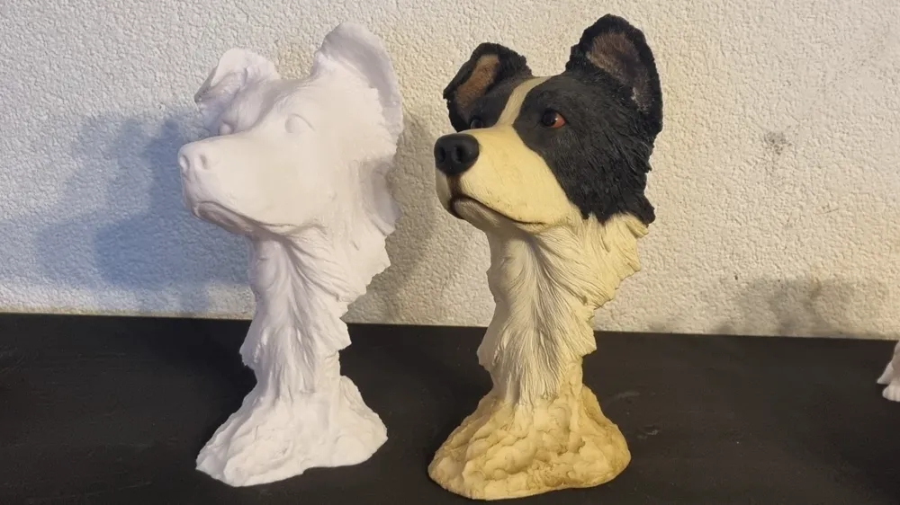 Border Collie Bust by Mr.Jay - MakerWorld