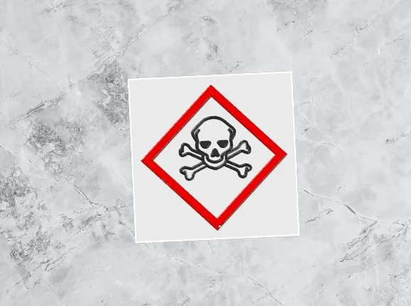 human skull for sample - Free 3D Print Model - MakerWorld