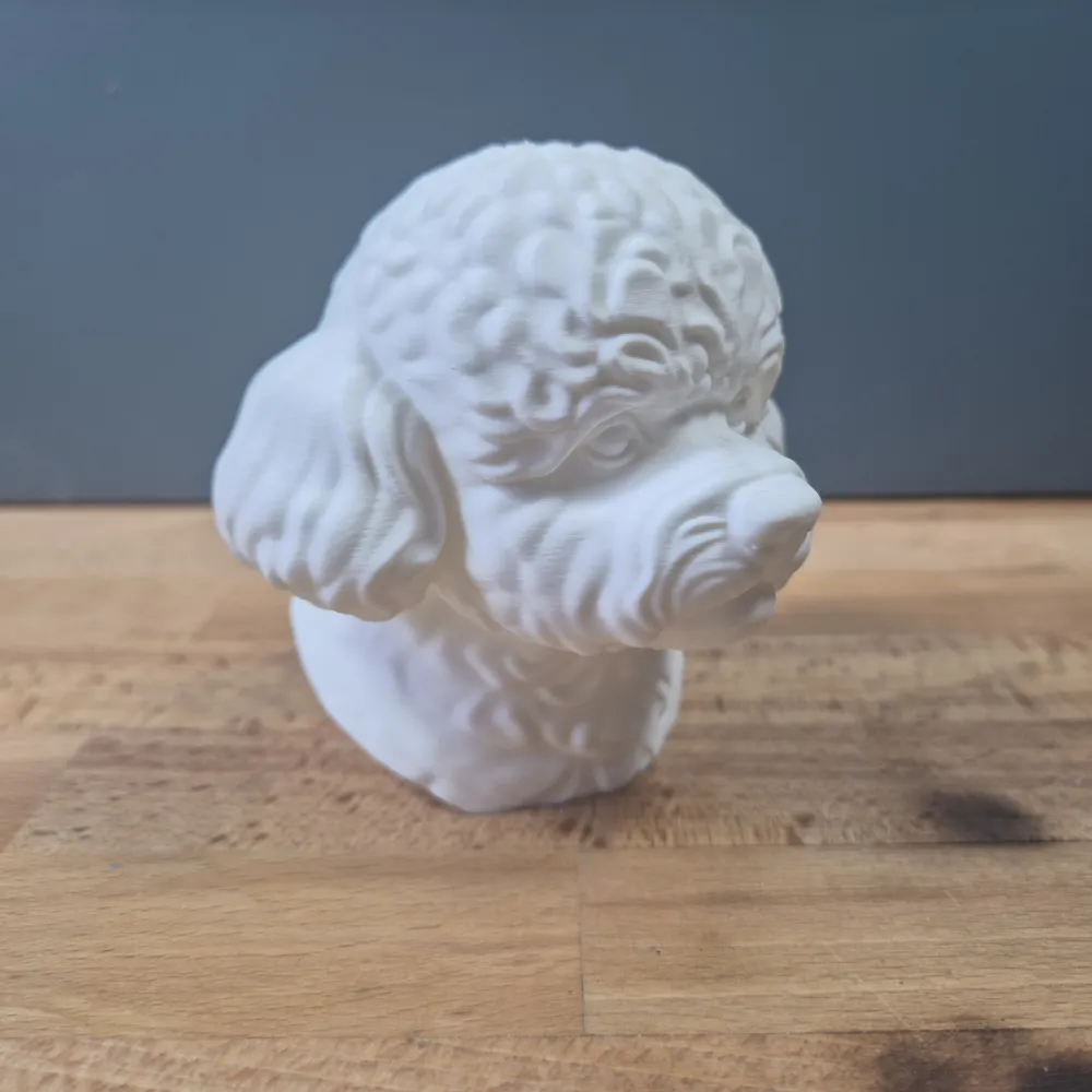 Bichon Frise Bust by Mr.Jay MakerWorld: Download Free 3D Models